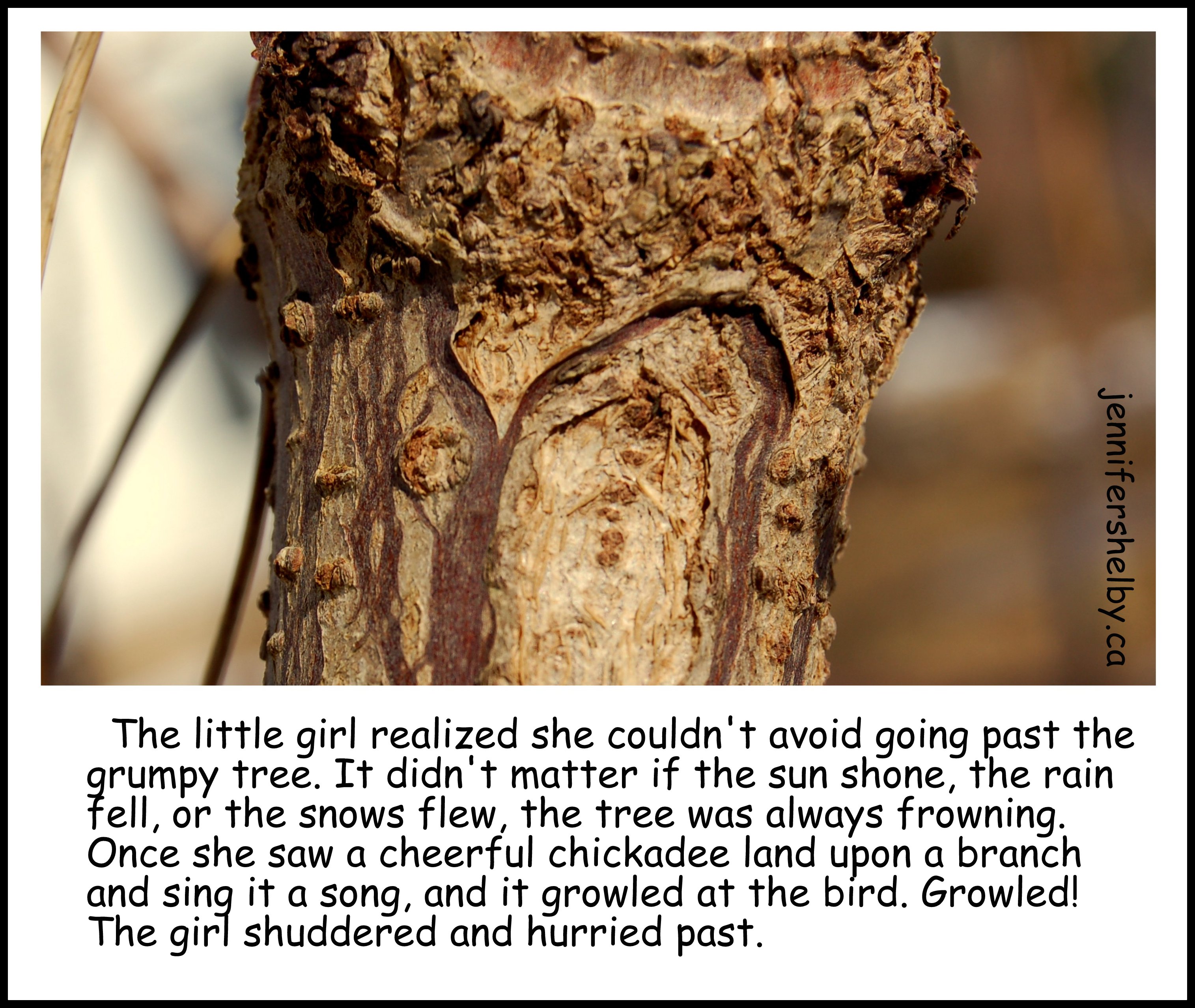 the grumpy tree – Jennifer Shelby