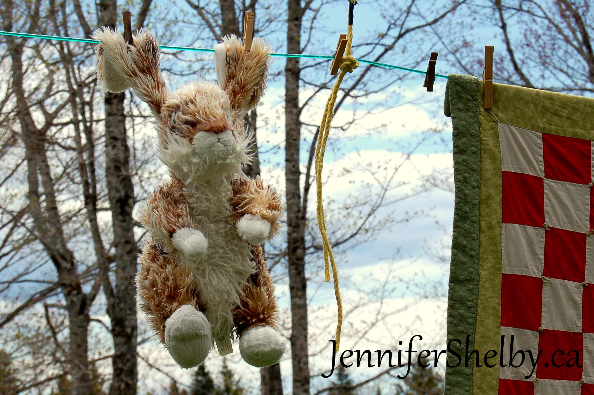 hung up by his ears – Jennifer Shelby